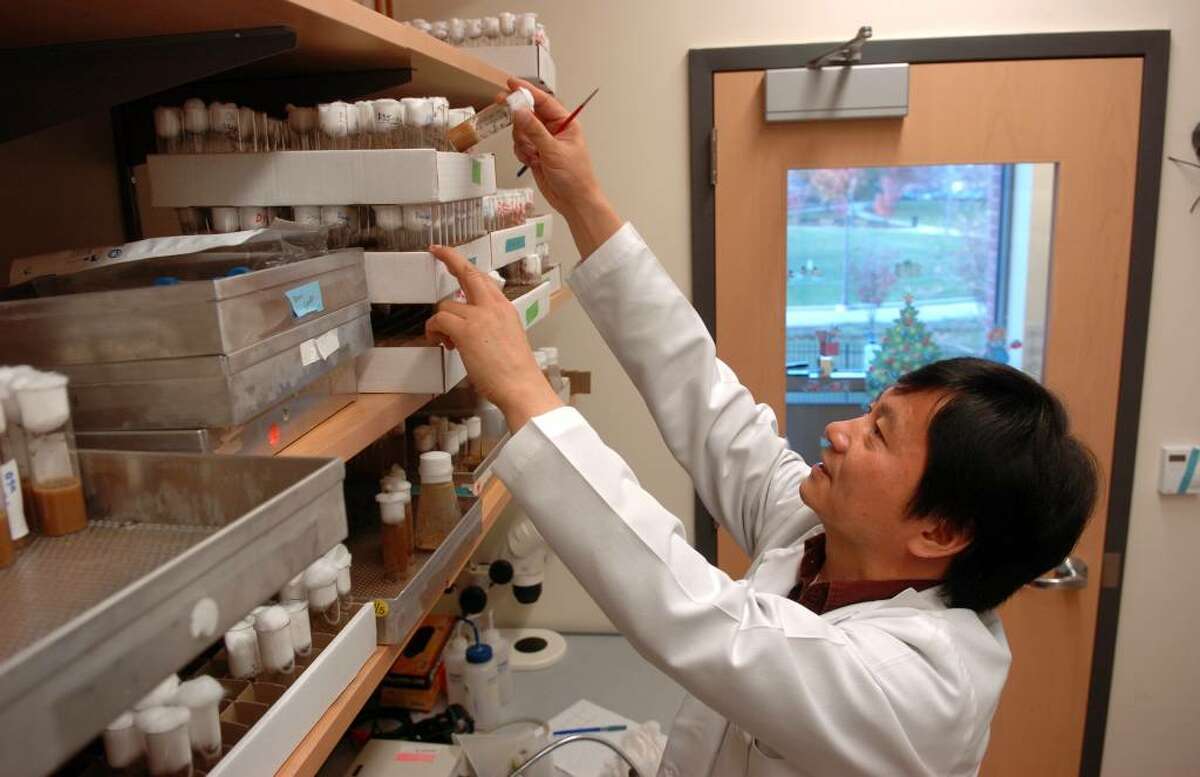 Stem cell research shows promise in state