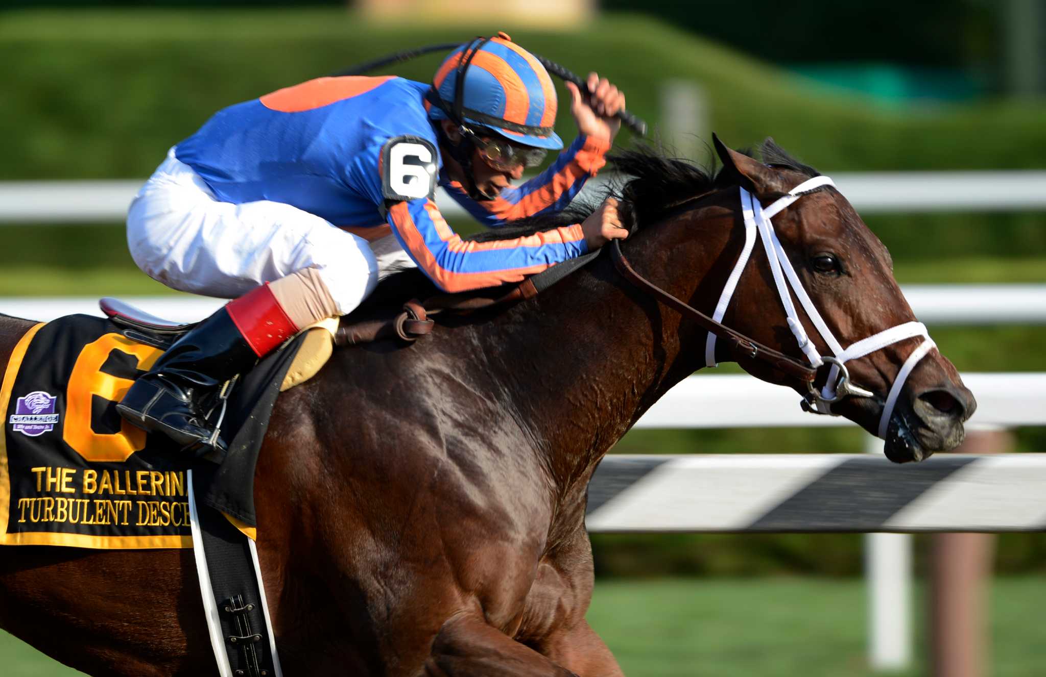Castellano will sit this one out