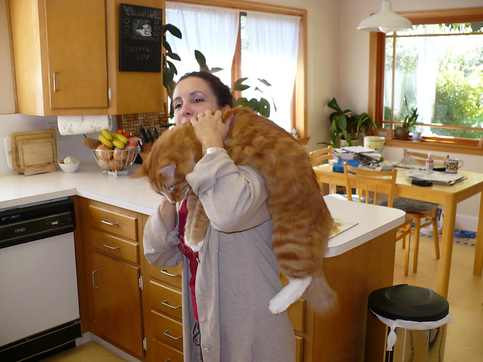 Scent overload turns Buddy 'full feral'