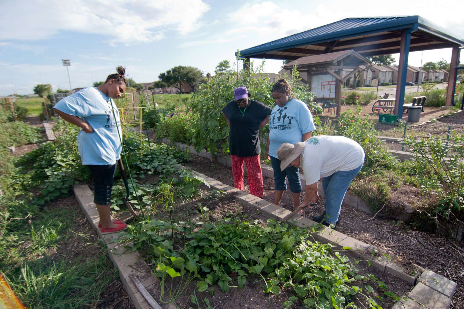 What grows in a community garden? Community.