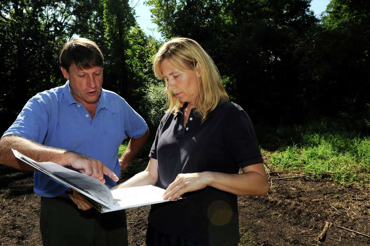 Weevils continue battling invasive vines