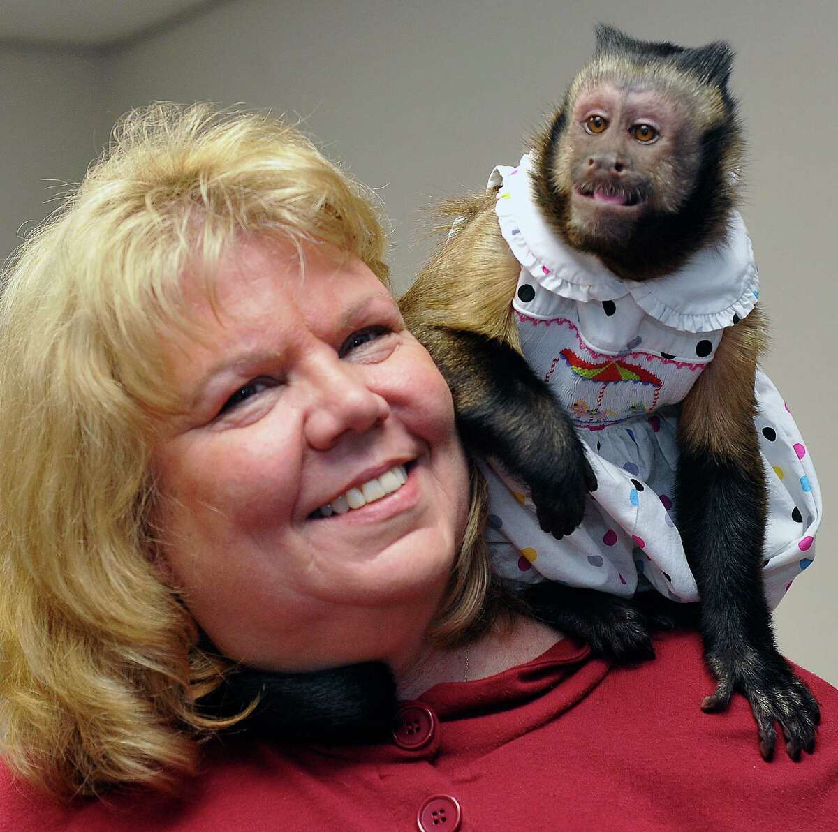 Judge rules Capuchin monkey will remain in Nederland