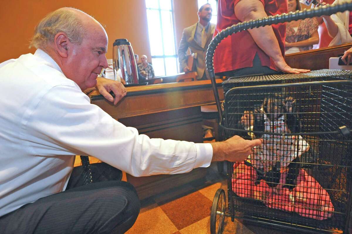 Judge rules Capuchin monkey will remain in Nederland