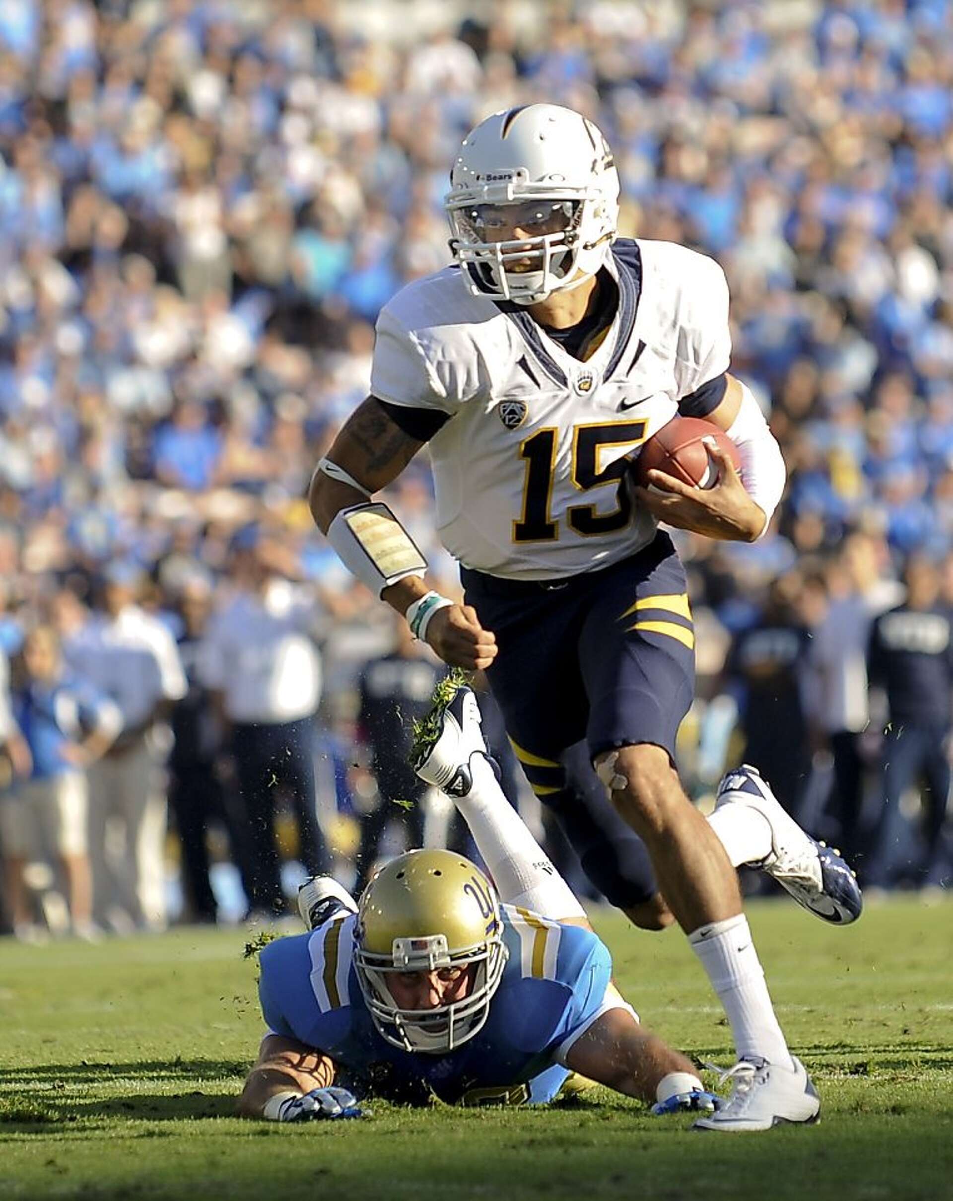 Cal's success depends on Maynard