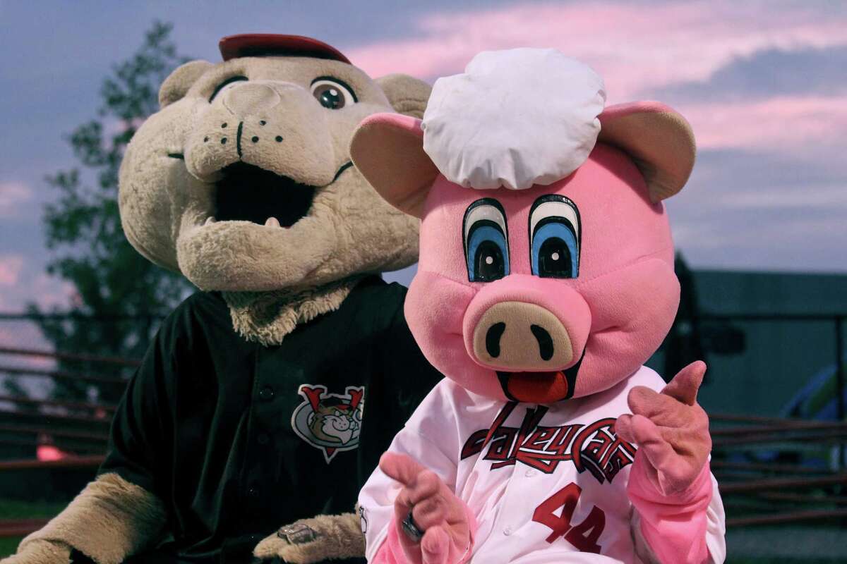 Mascot suits fit father, son