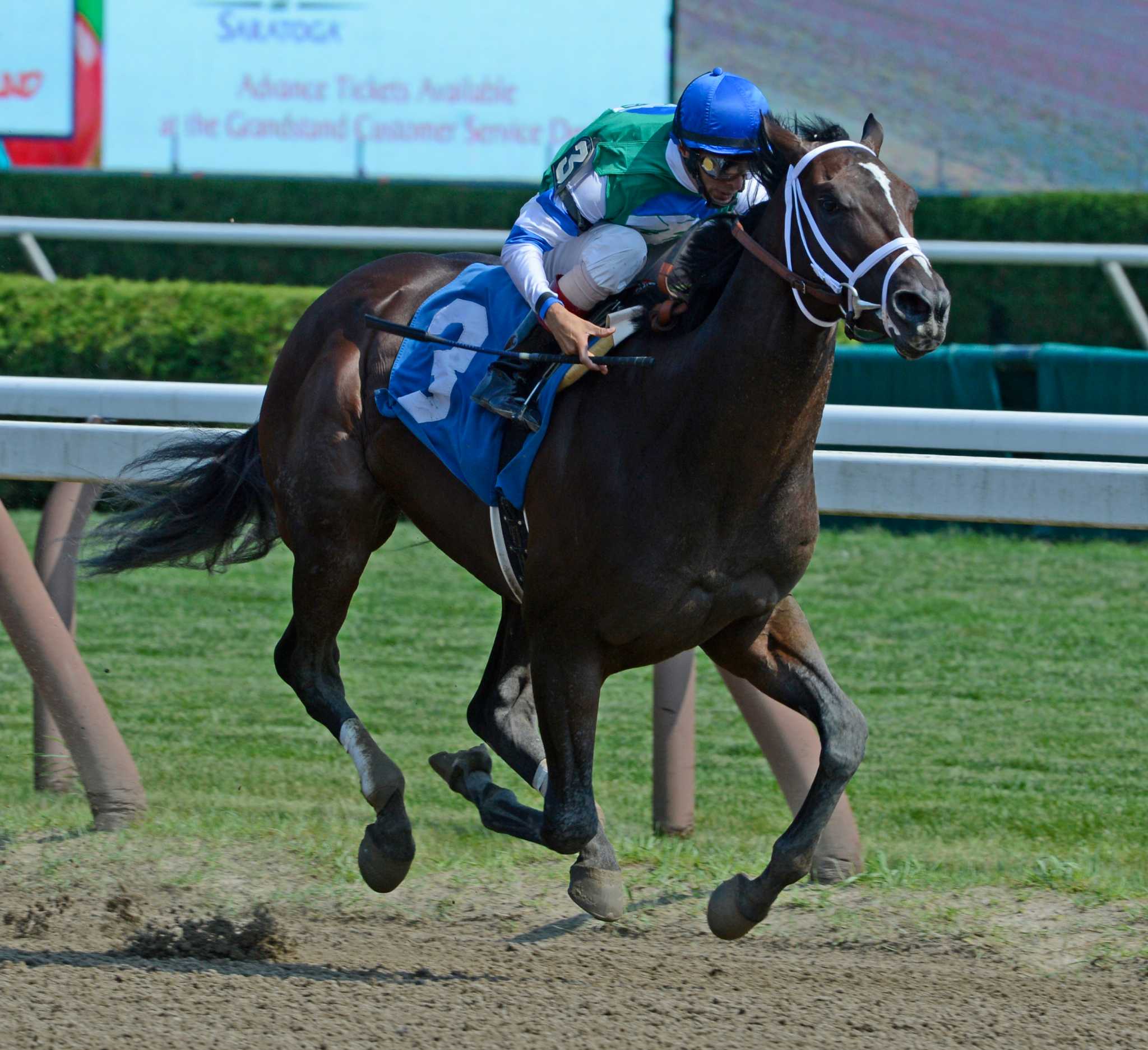 Hyped 2-year-old colt captures debut
