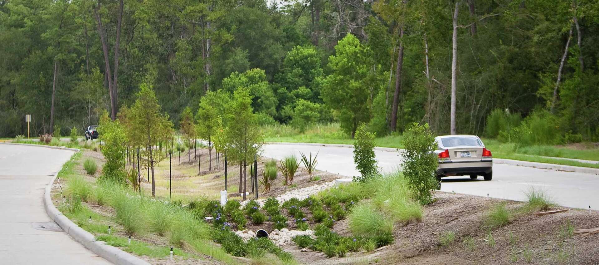 Low-impact development's a swale idea