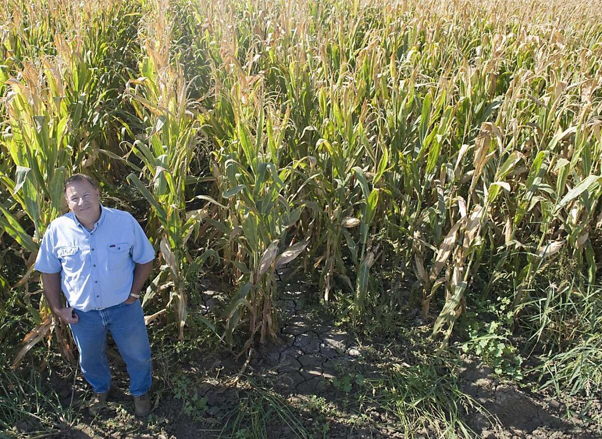 Drought home damage may top $1 billion