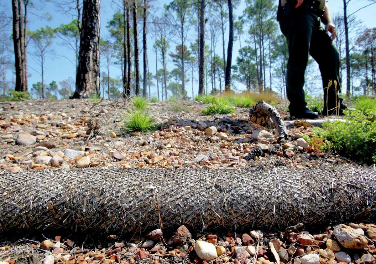 Bastrop wildfires: One year later