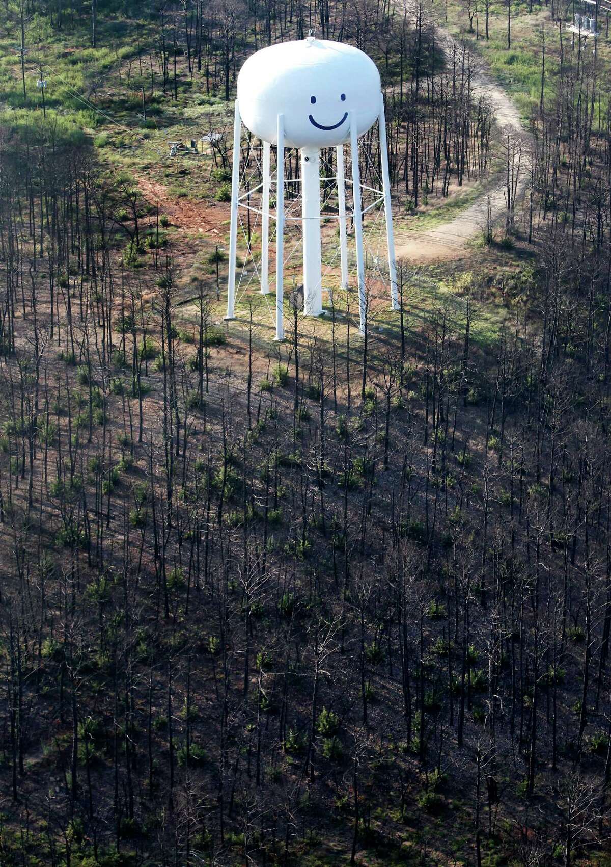 Hard lessons learned from Bastrop fire