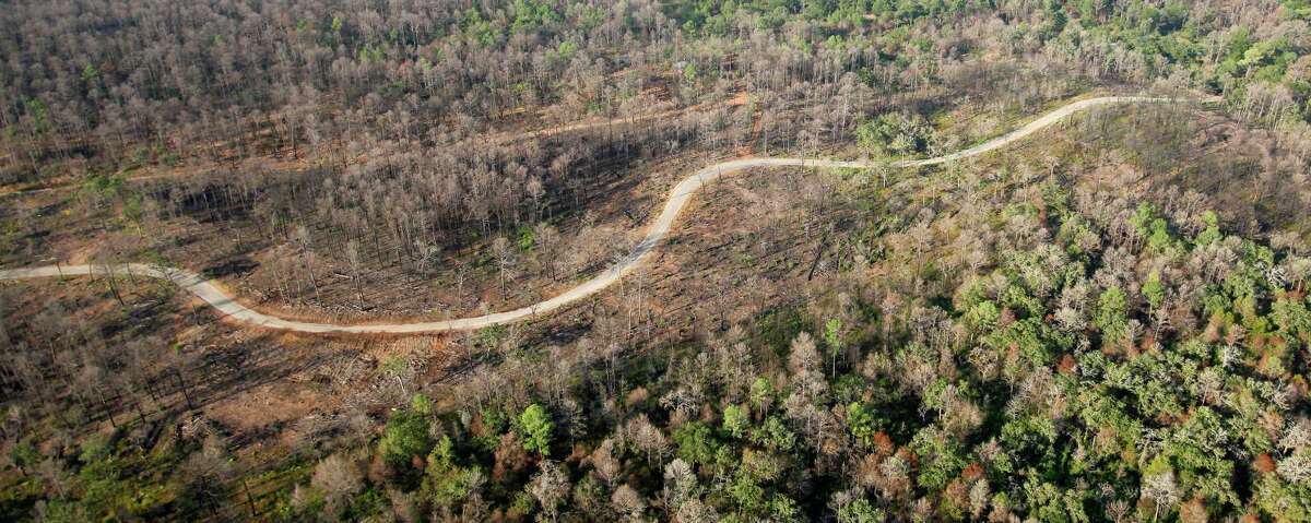 Hard lessons learned from Bastrop fire