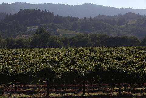 Zinfandel finds an elegant balance