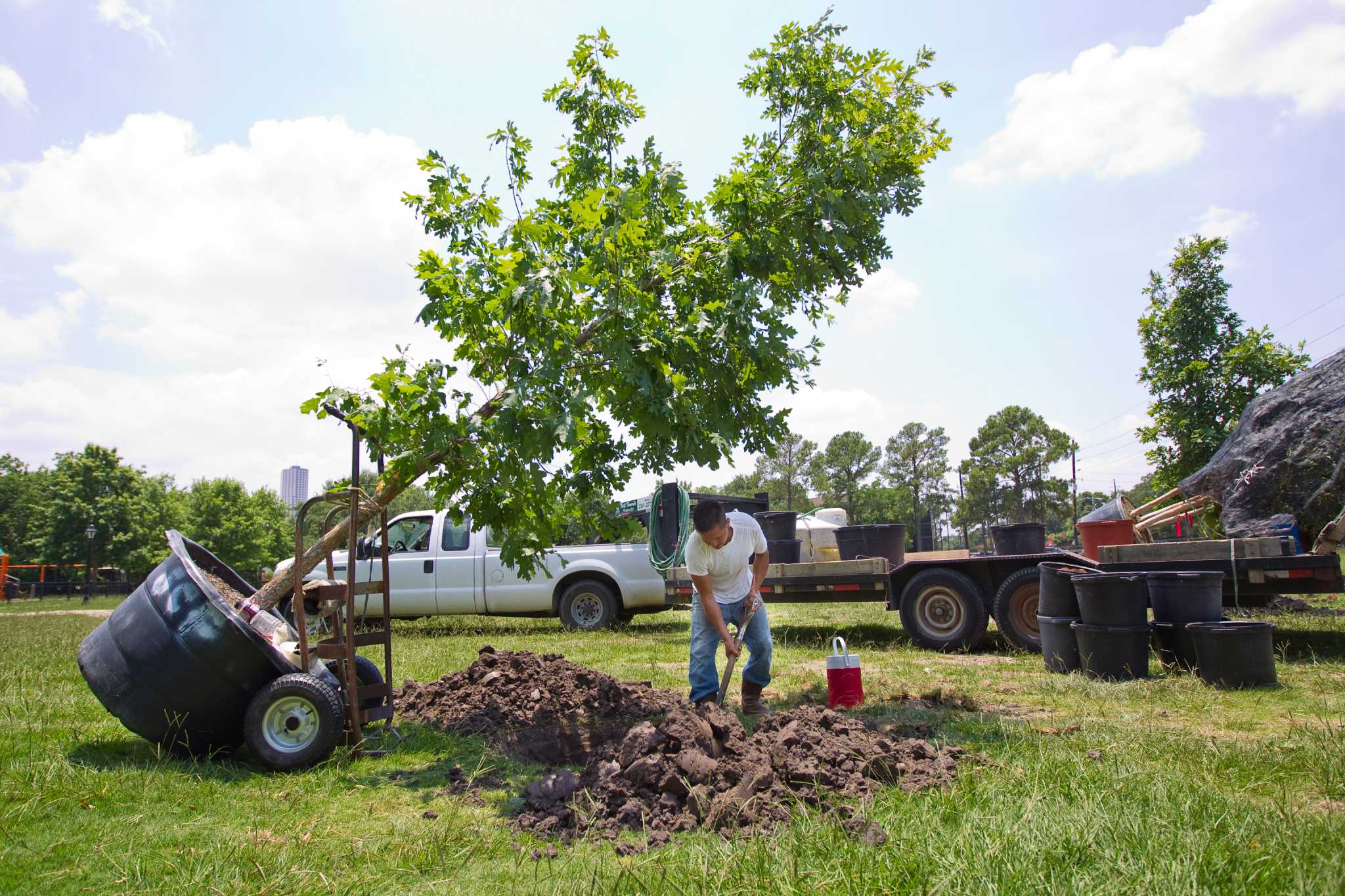 Know a good spot for a tree? Tell Trees for Houston