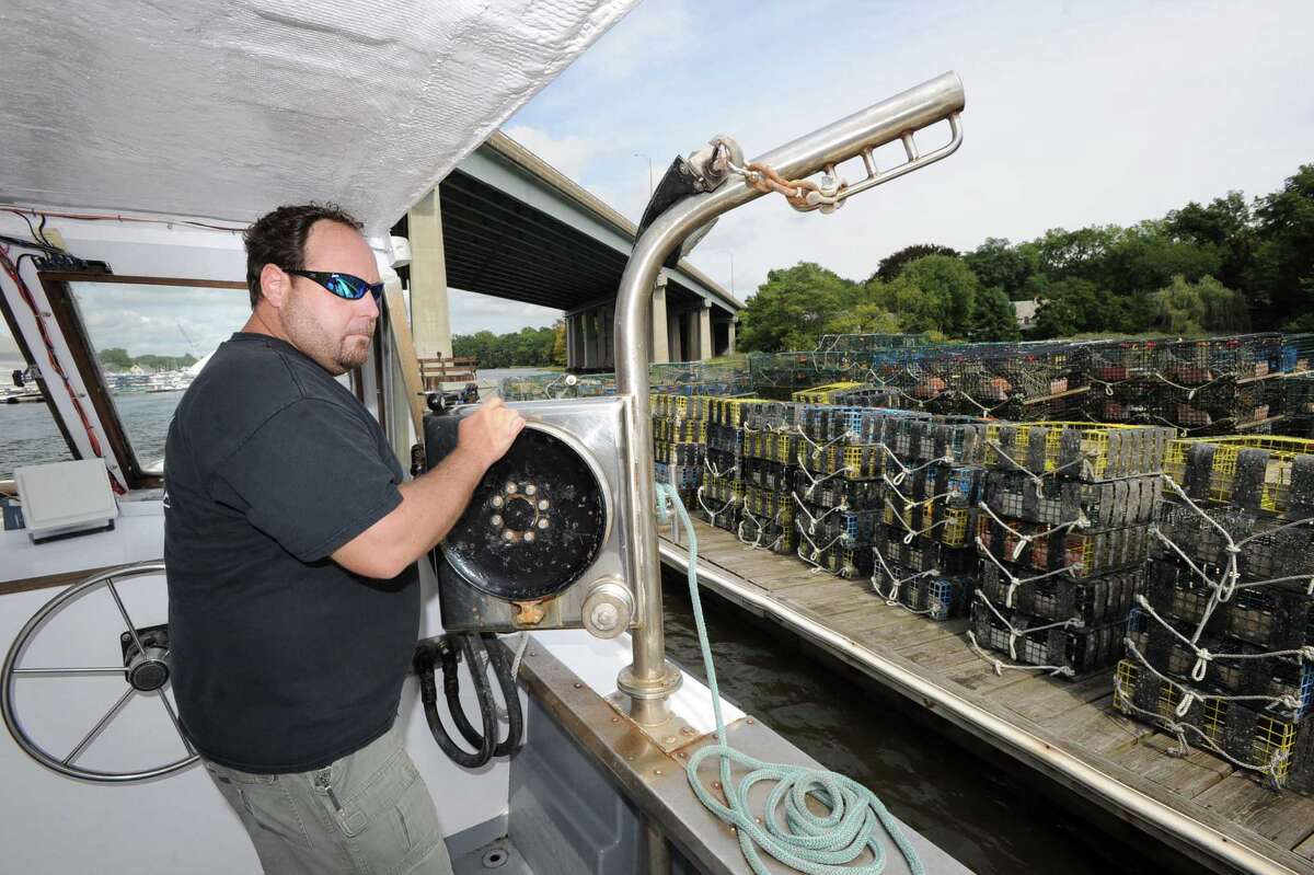 Pesticide effect on lobsters studied