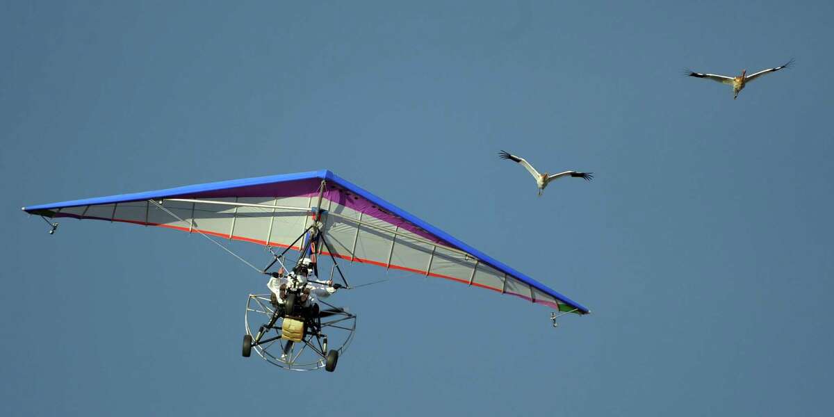 Offbeat photos of the week