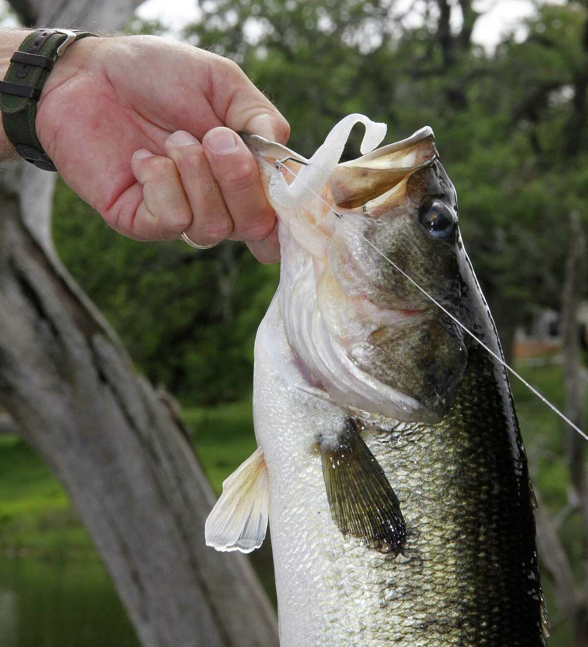 Fishing spots near Houston stocked by TPWD