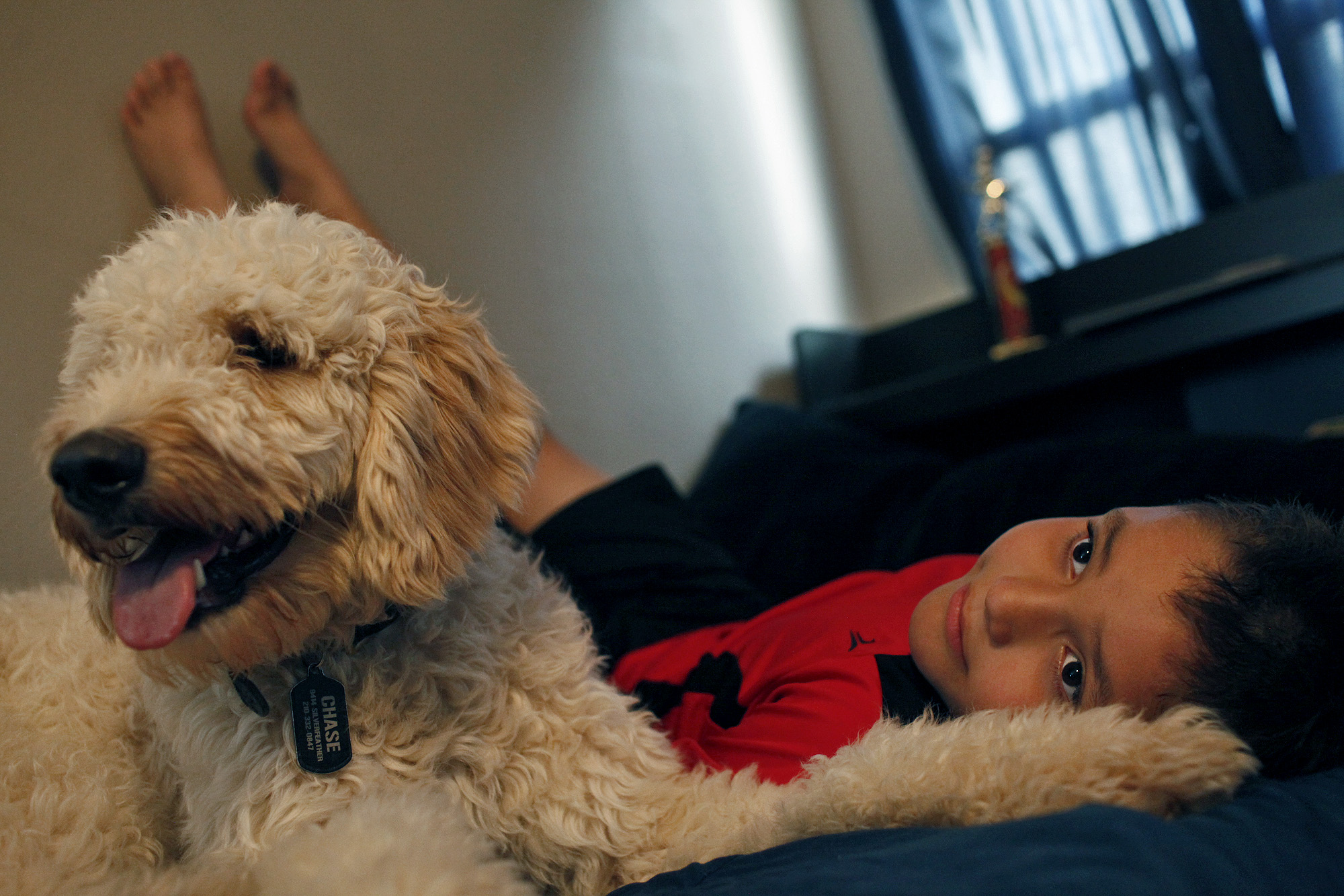 Chase is more than just a pet for boy with autism