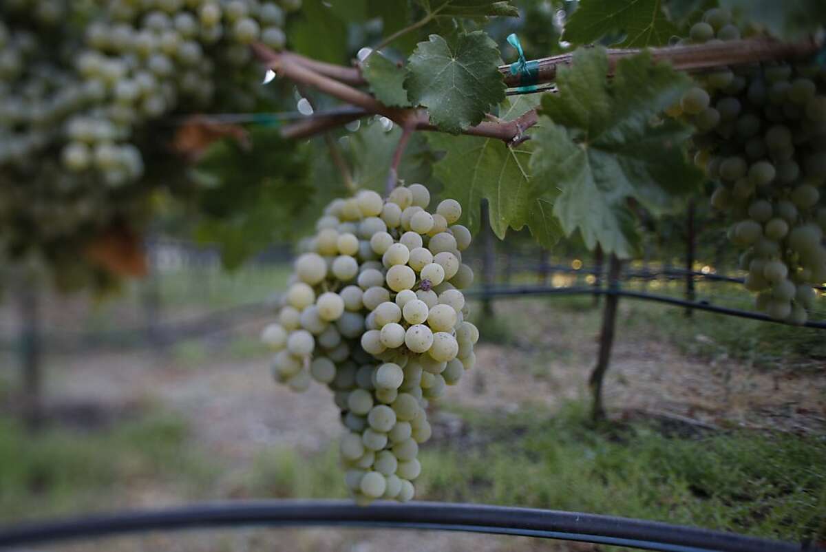 Von Strasser Winery adds personal touch