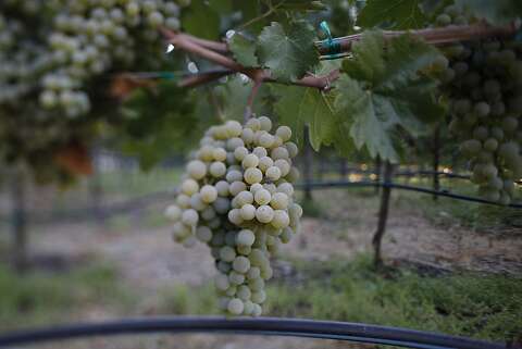 Von Strasser Winery adds personal touch