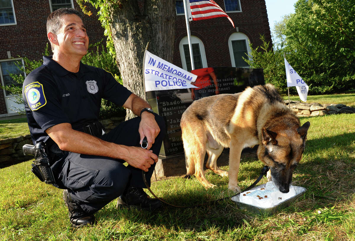 State police K9 gets protective gear