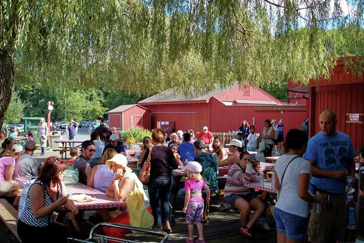 Lyman Orchards a fall family getaway
