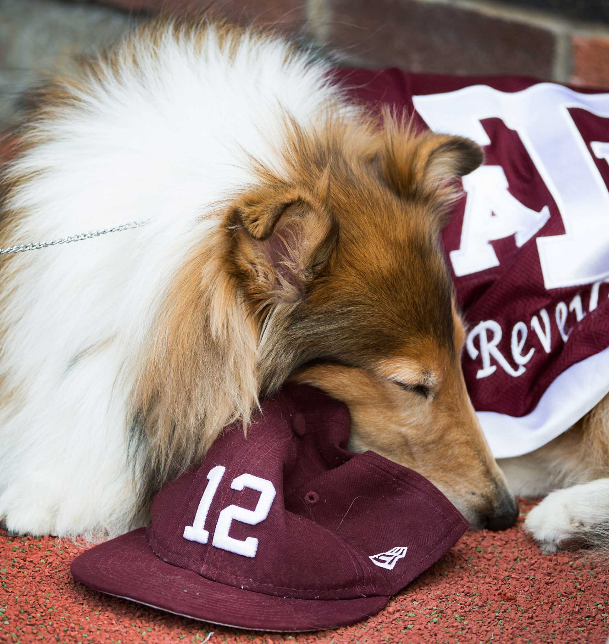 Current Reveille