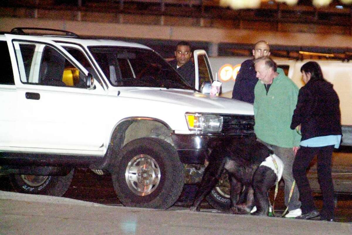 Chimp attack victim says Malloy shares blame