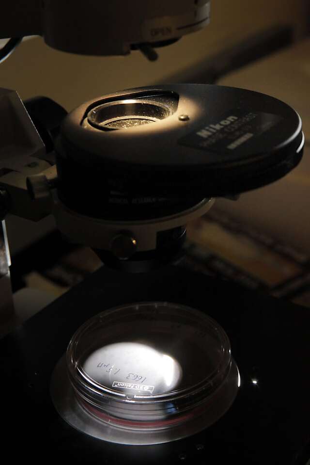 Pot compound seen as tool against cancer