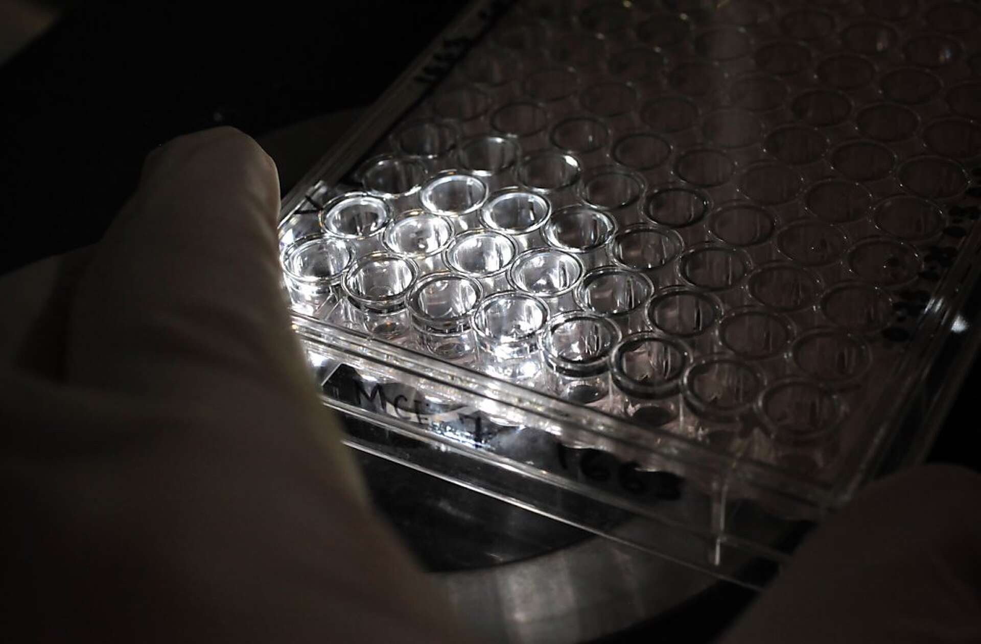 Pot compound seen as tool against cancer