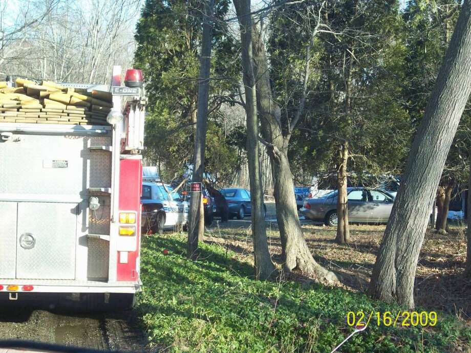 Chimp attack in Stamford - NewsTimes