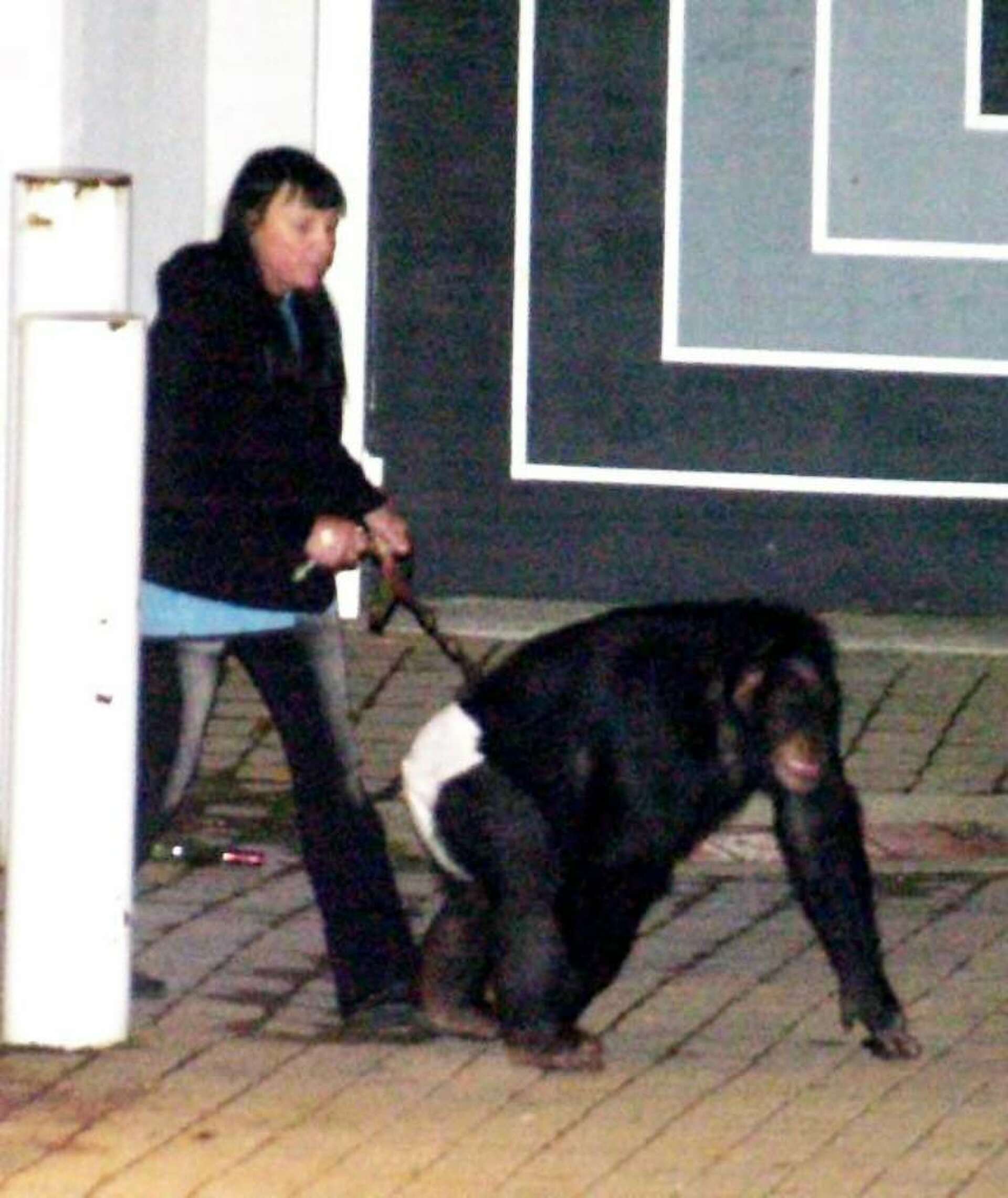 Owner of chimpanzee that mauled Stamford woman, dies