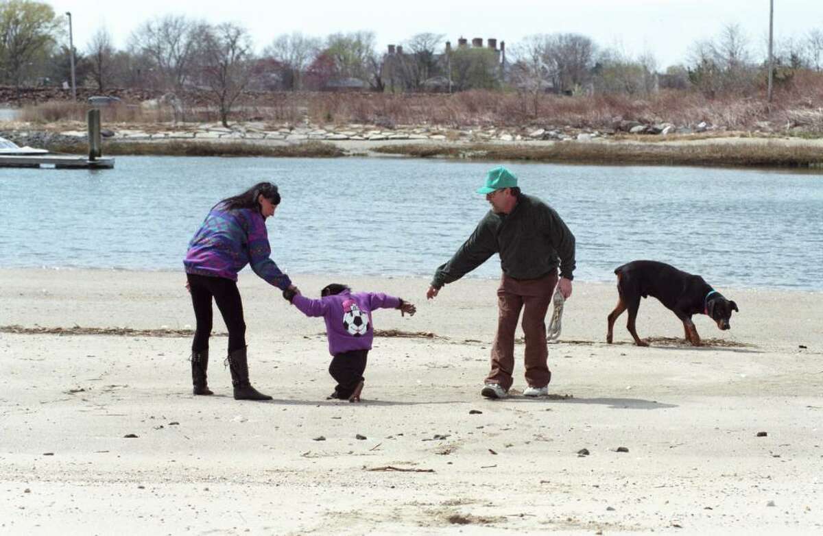 Stamford woman won't be charged in chimpanzee attack