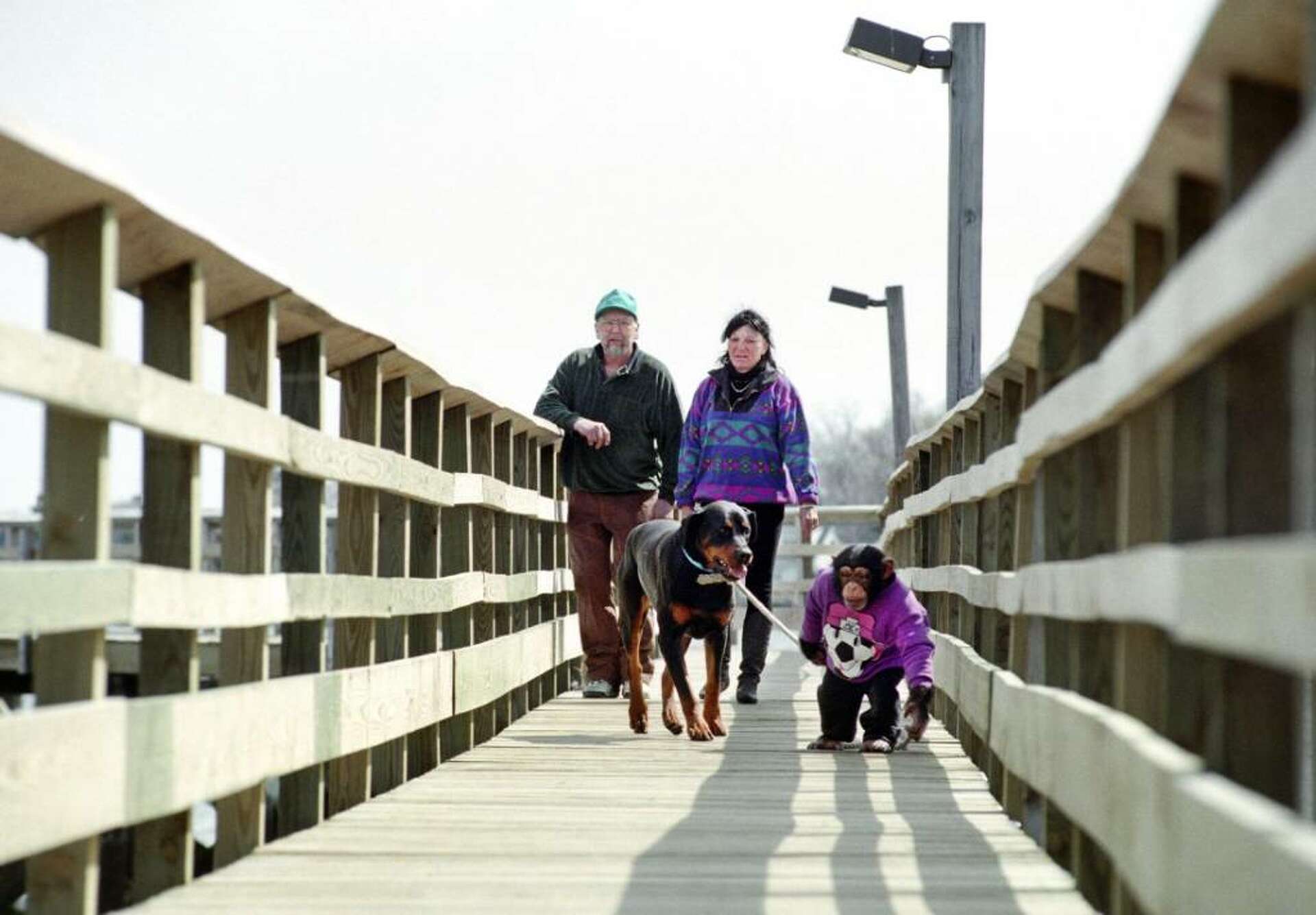 Owner of chimpanzee that mauled Stamford woman, dies