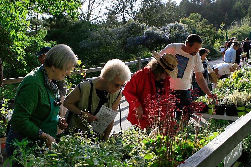 Reap the benefits of fall plant sales