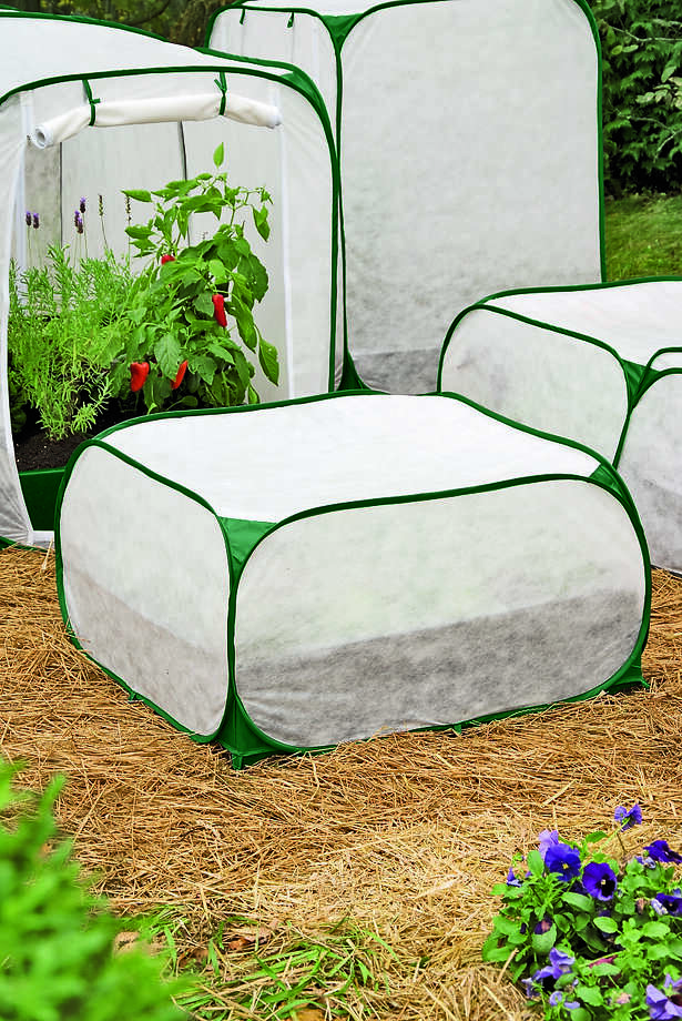 Gardening in the Fall - Beaumont Enterprise