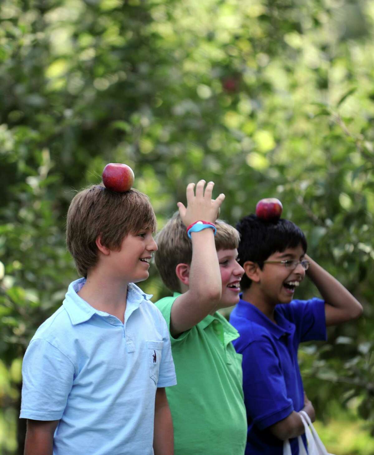From foliage, apples to pumpkins, fall looks bright
