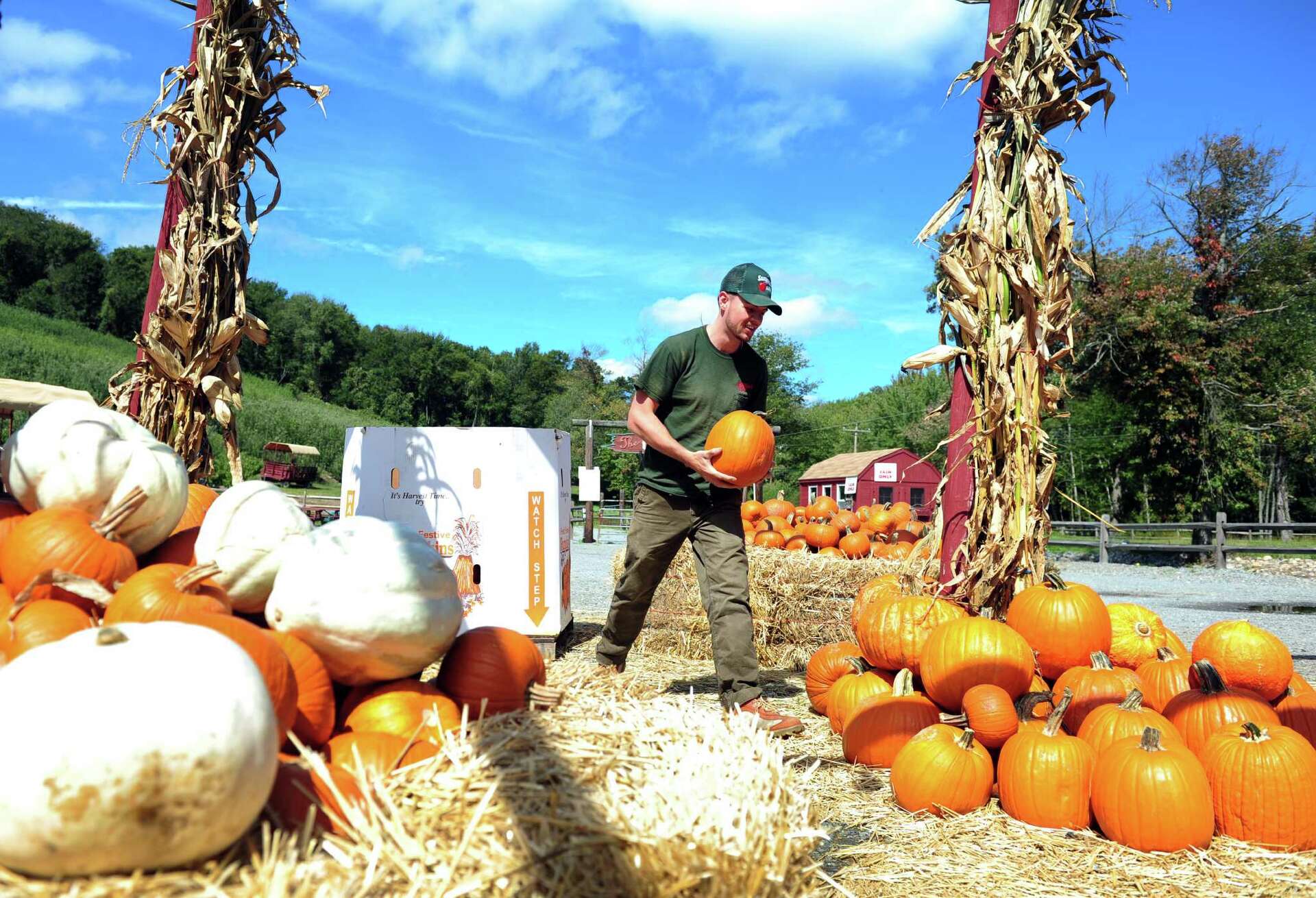 From foliage, apples to pumpkins, fall looks bright