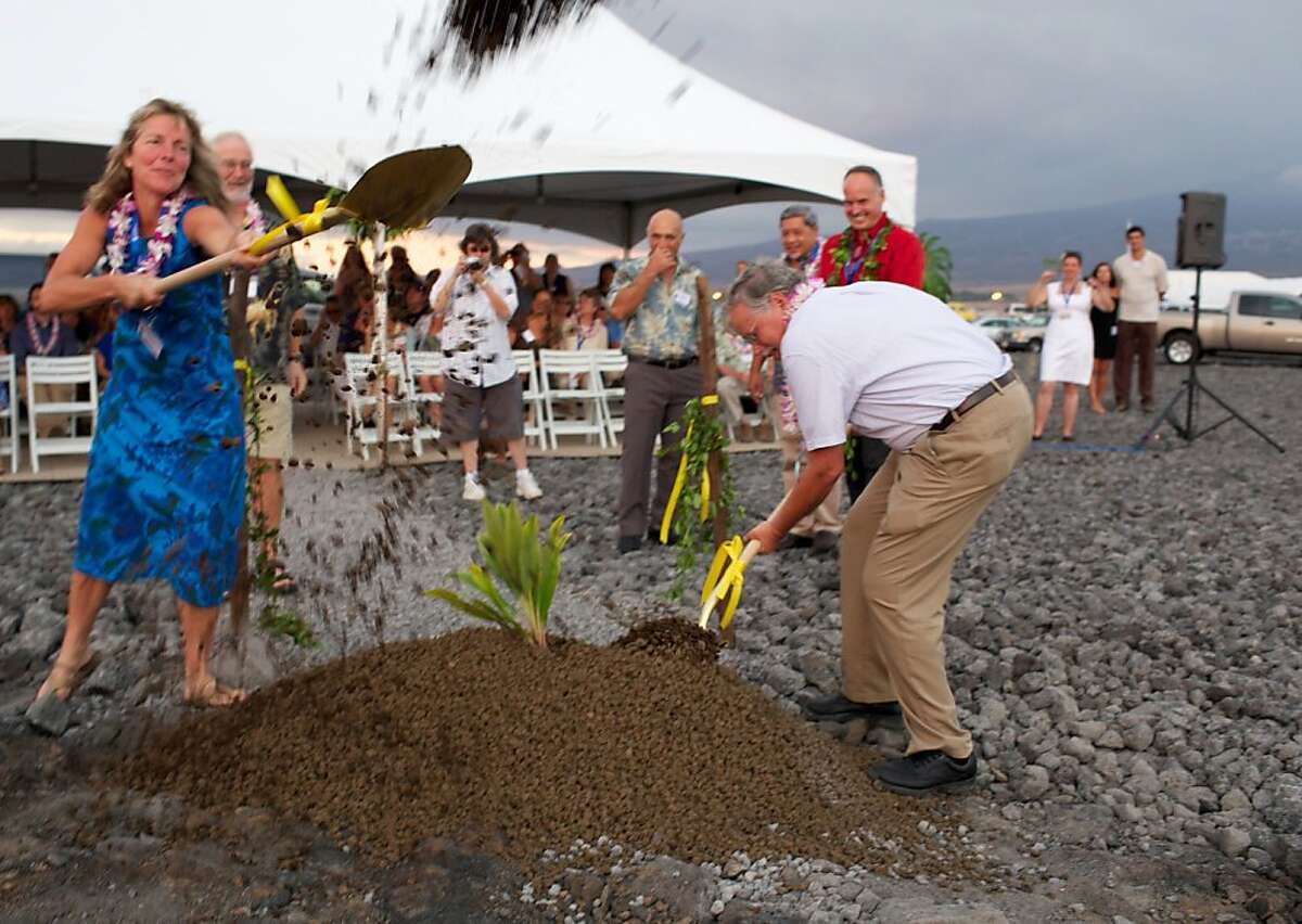 New hope for rare Hawaiian monk seals