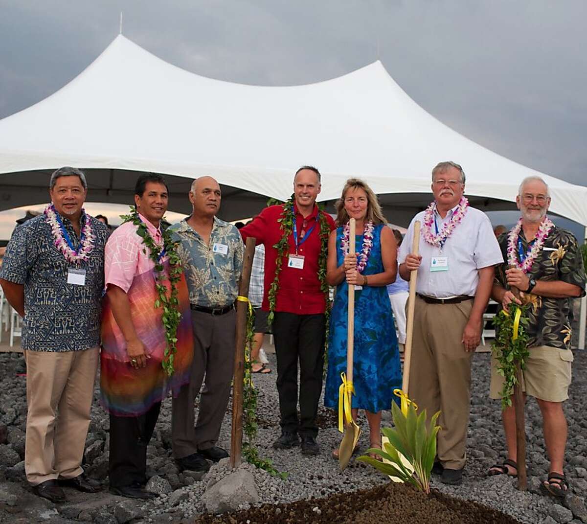 New hope for rare Hawaiian monk seals