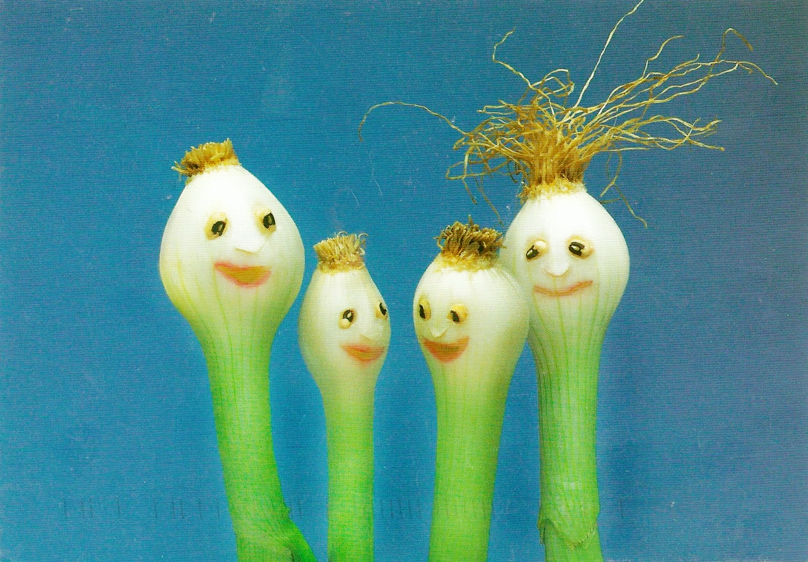 'WACky foods' for the whole family at arts center