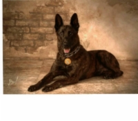 UPDATE: K-9 to have private burial