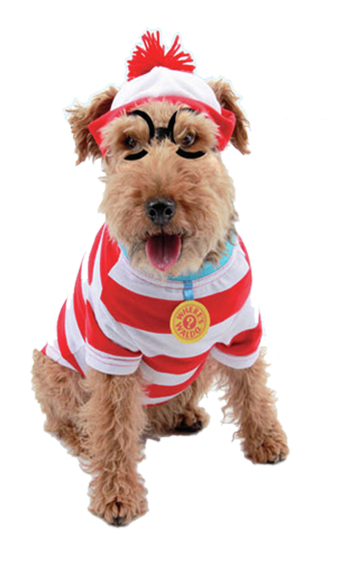 'Where's Waldo?' comes out of hiding for 25th anniversary