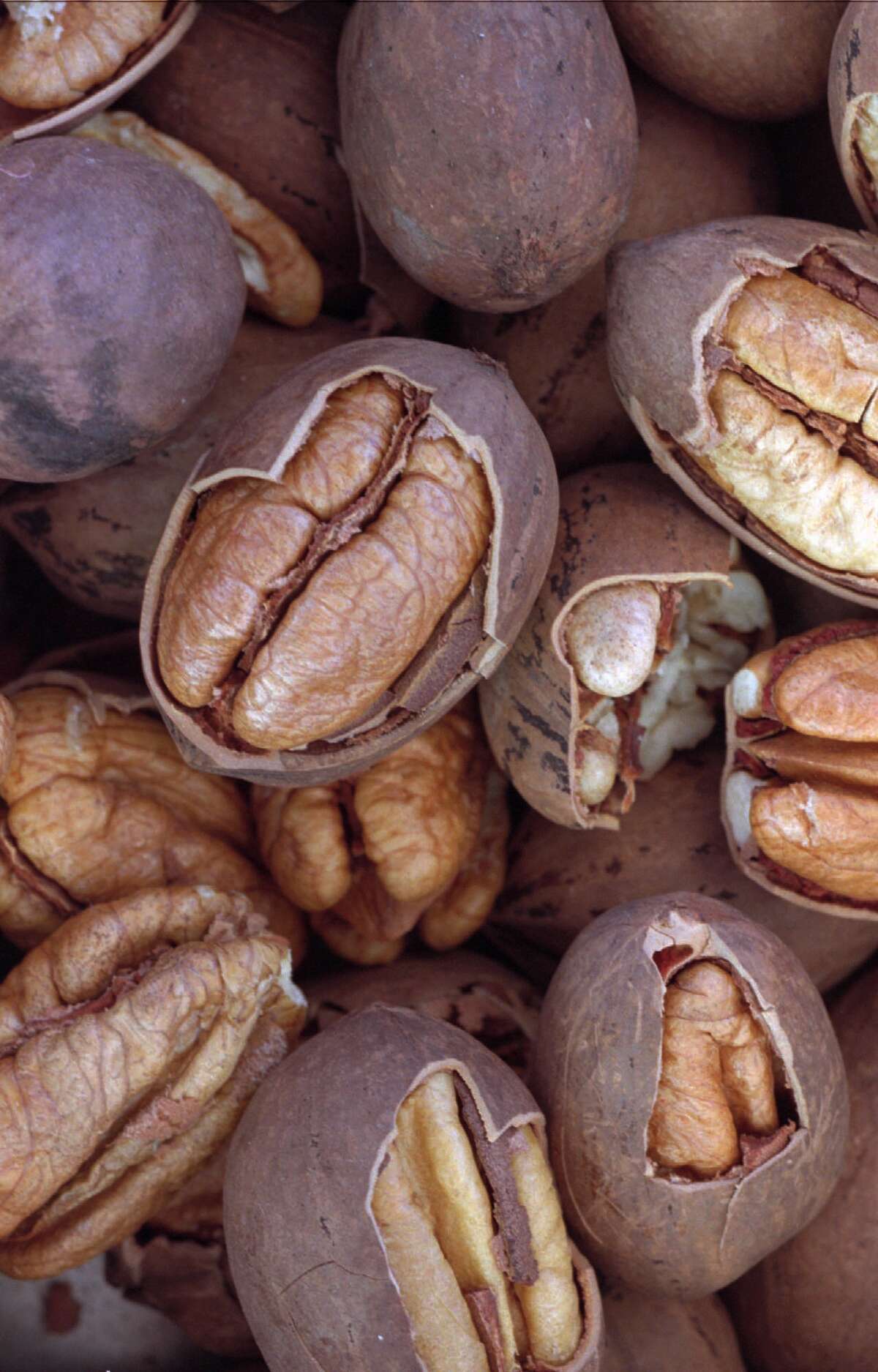 It's obvious - fall is finally here