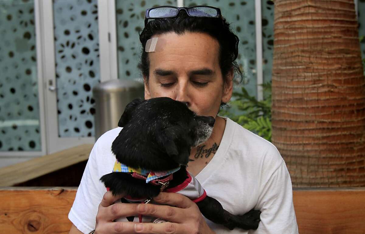 Woof: Wide smiles and wagging tails