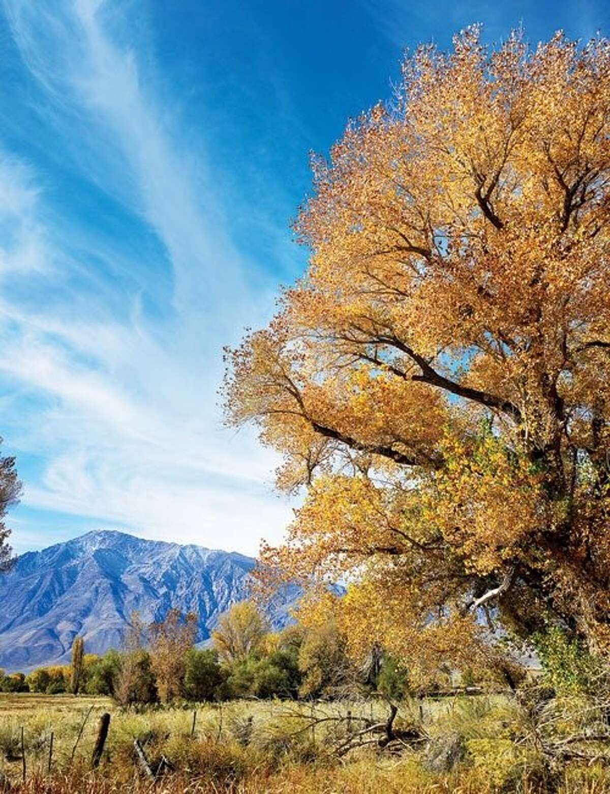 Where to find the prettiest fall foliage in Northern California and Bay ...