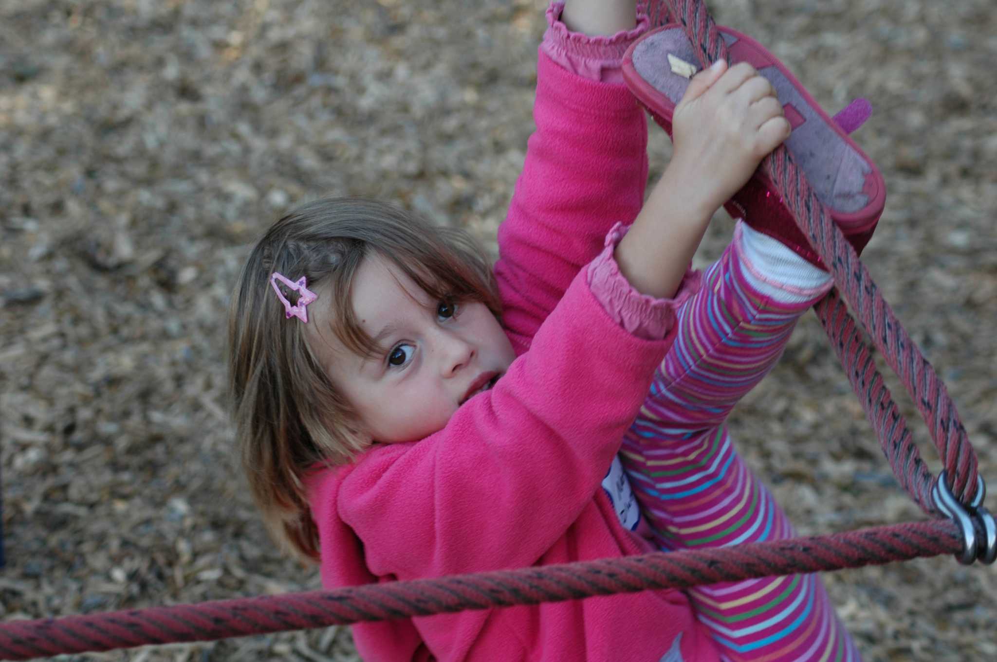 Royle School family picnic