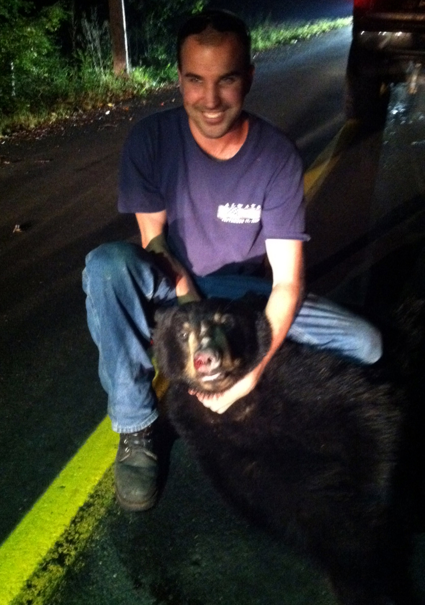 Oxford man kills bear with his pickup truck