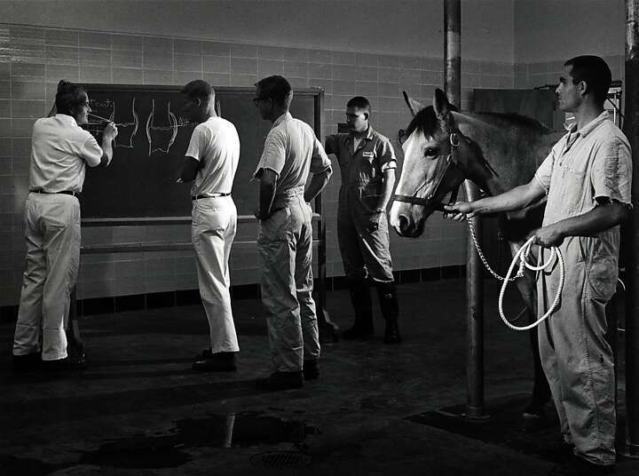 Ansel Adams prints found at UC Berkeley