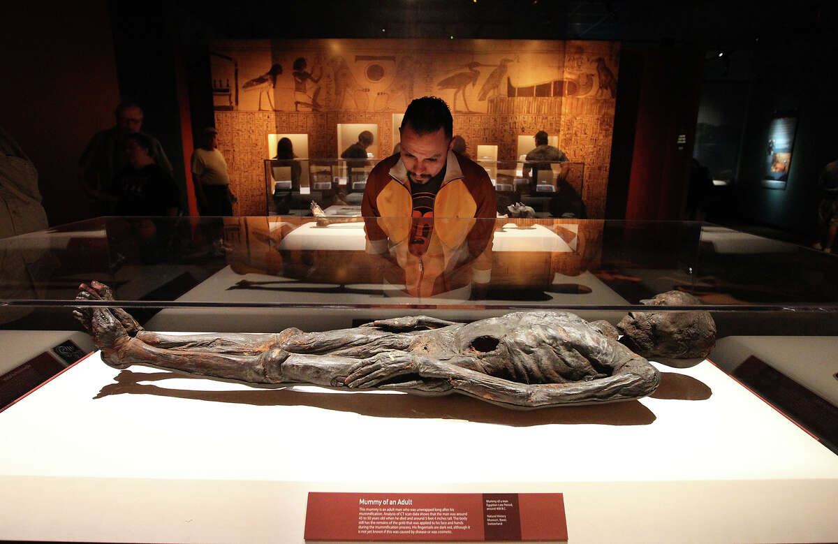 'Mummies of the World' at the Witte Museum