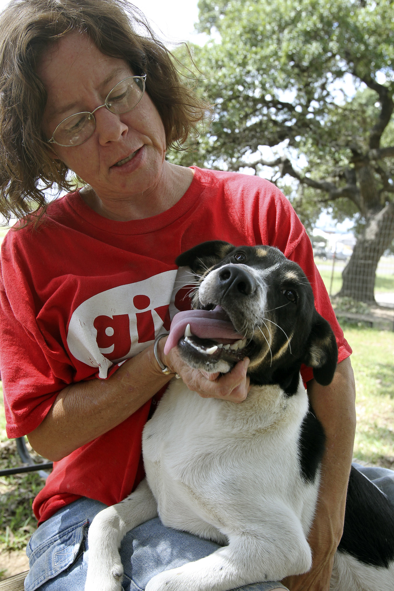 Rescue group facing closure seeks homes for dogs